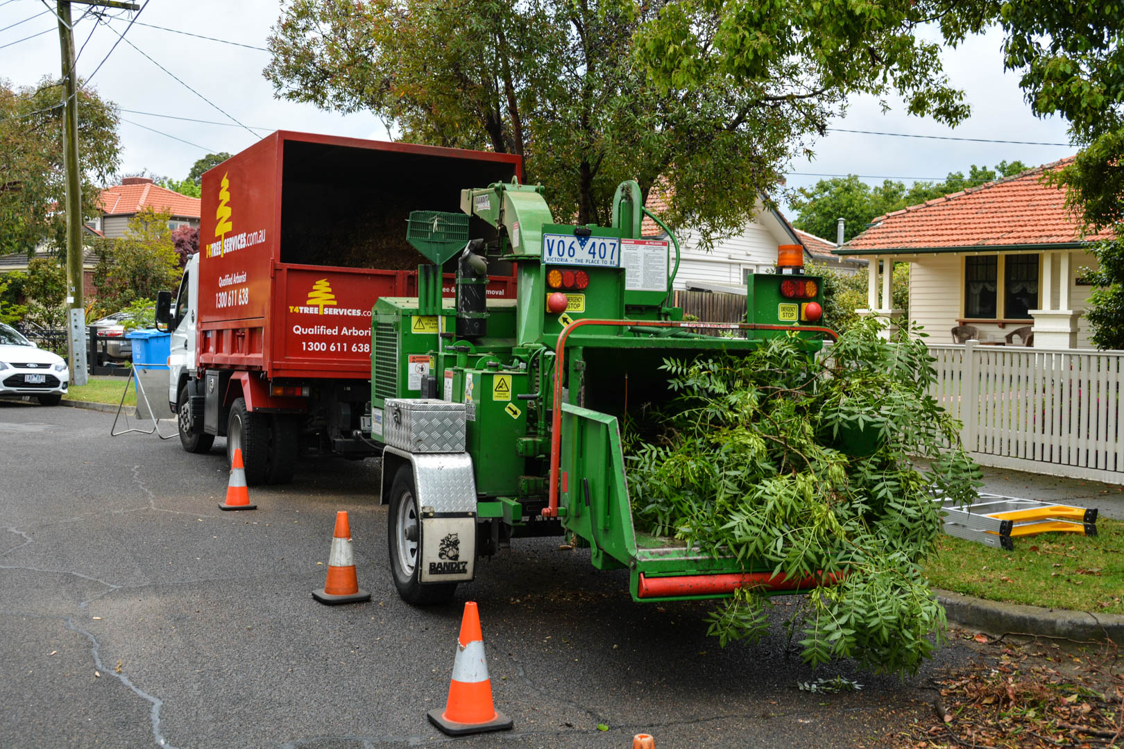 How Much Does Tree Removal Cost T4Tree Services How Much Does Tree Removal Cost T4Tree Services